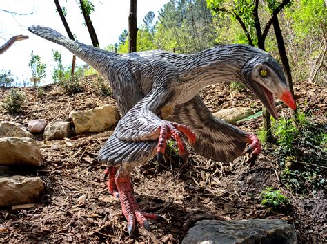 Archaeopteryx Le Monde De Dinopedia