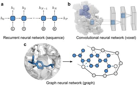 Structure‐based Drug Discovery With Deep Learning Özçelik 2023