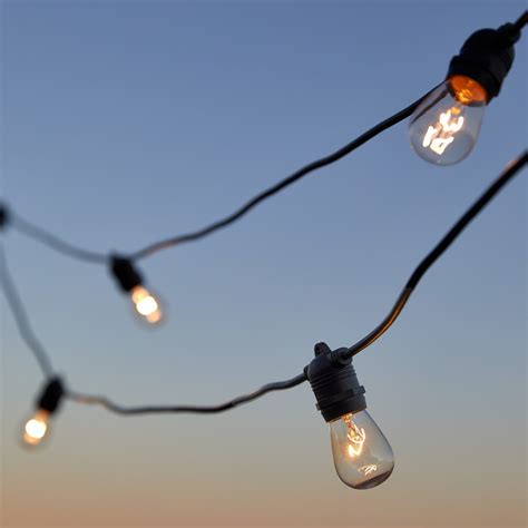 Festoon Lights Gold Coast At Pam Kirkland Blog