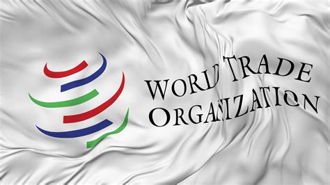 World Trade Organization Flag Wto Flag Seamless Looping Background