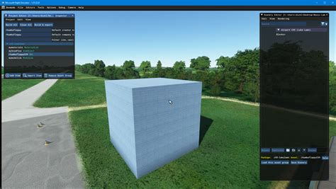 Texture Does Not Look Right Fsdeveloper