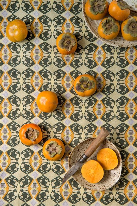 Minerals Rust Textile Patterns Pattern Sfgirlbybay