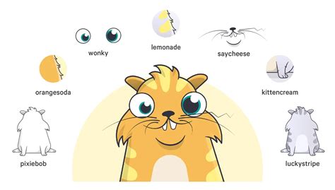 What Are CryptoKitties