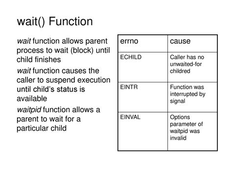 Example Questions Can A Shell Kill Itself Can A Shell Within A Shell