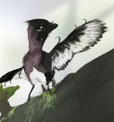 Epidendrosaurus Pictures And Facts The Dinosaur Database