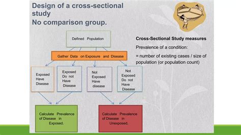 Cross Sectional Research Desighn Ppt