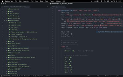 Filebrowser Package Customization General Discussion Sublime Forum