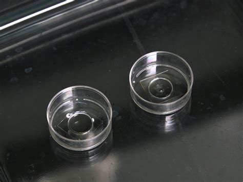 Video A High Throughput Cell Microarray Platform For Correlative