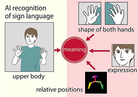 improved accuracy in word level sign language recognition through