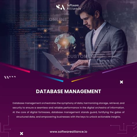 Databasemanagement Dataoptimization Software Alliance