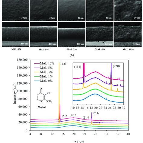 A Microstructures On Surface Upper Row And Cross Section Lower Download Scientific Diagram