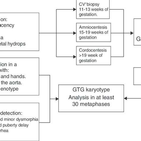 Diagnostic Algorithm For Turner Syndrome Chronic Villus Download Scientific Diagram