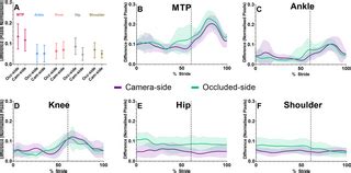 Examination of 2D frontal and sagittal markerless motion capture ...