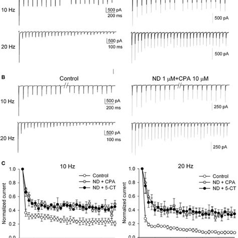 The Short Term Synaptic Plasticity In Response To Trains Of Stimuli Is Download Scientific