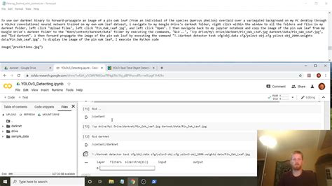 Detecting Objects In Images And Videos Using Darknet And Yolov3