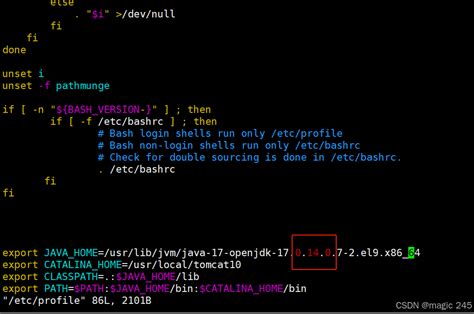 Linux 软件的安装与部署、web应用部署到阿里云centos怎么安装软件 Csdn博客