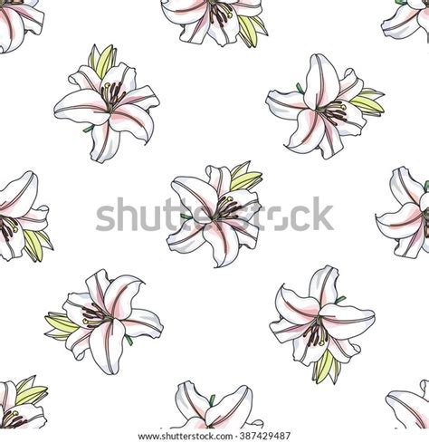 Vector Lilly Pattern Stock Vector Royalty Free 387429487 Shutterstock