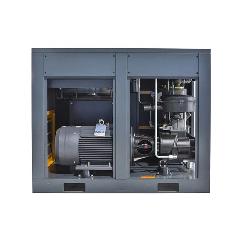 Variable Speed Screw Compressors Air Compressor With Dryer And Tank
