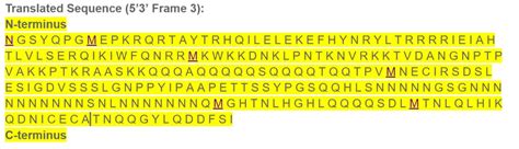 The Sequence Below Is A Partial DNA Sequence Only Chegg