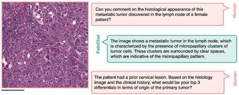 Overcoming Technical Challenges In Digital Pathology By Bahjat Medium