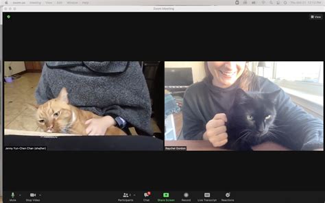 Raychel Barkin Sheher Raychelbarkin Twitter