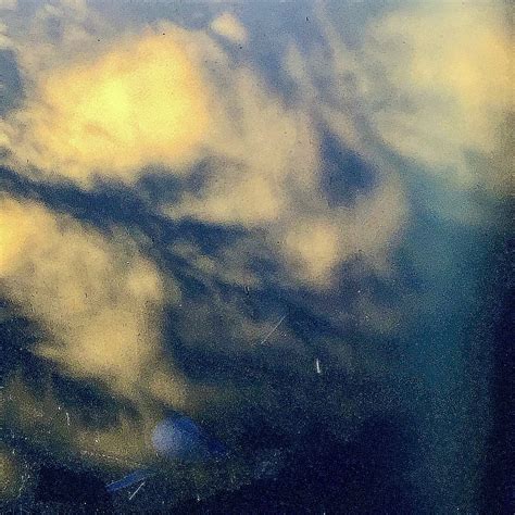 Woolly Math Moth Dim Unit