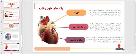 دانلود قالب پاورپوینت قلب انسان 💓🔬 آماده و حرفه ای