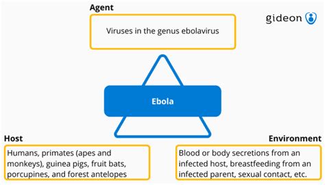 Epidemiological Triad Gideon