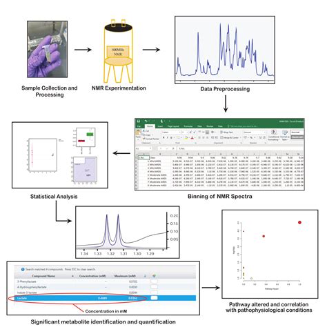 Identification And Quantification Of Deranged Metabolites In Critically
