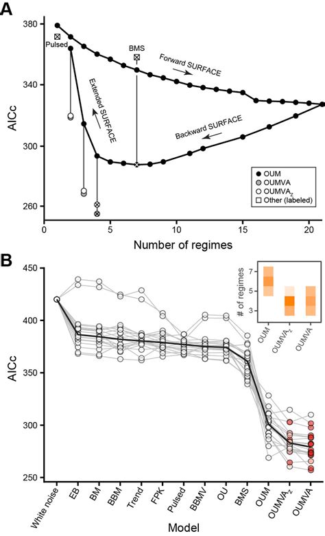 Macroevolutionary Modeling Reveals Strong Support For Evolution Across