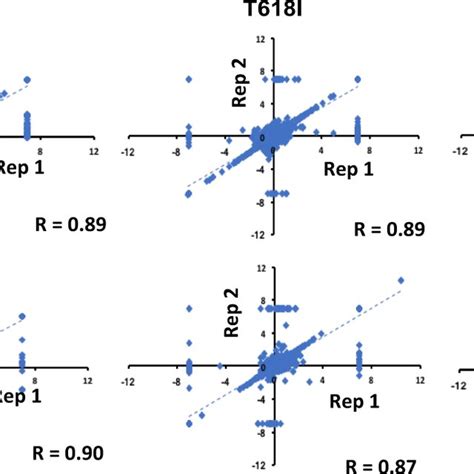 Pearsons Correlation Coefficients R Values Were Calculated To Verify Download Scientific