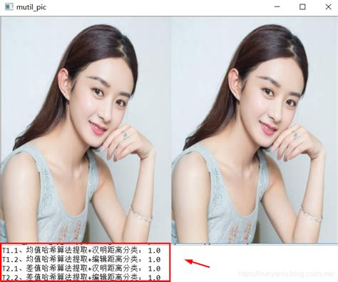 Ml之hasheditdistance：基于输入图片哈希化均值哈希差值哈希即88个元素的单向vector利用编辑距离算法实现计算图像