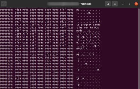 6 Linux Commands I Use For Malware Analysis