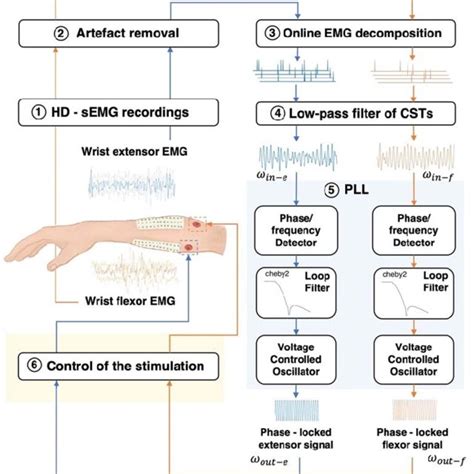Closed Loop Tremor Suppression System Flow Chart Download Scientific Diagram