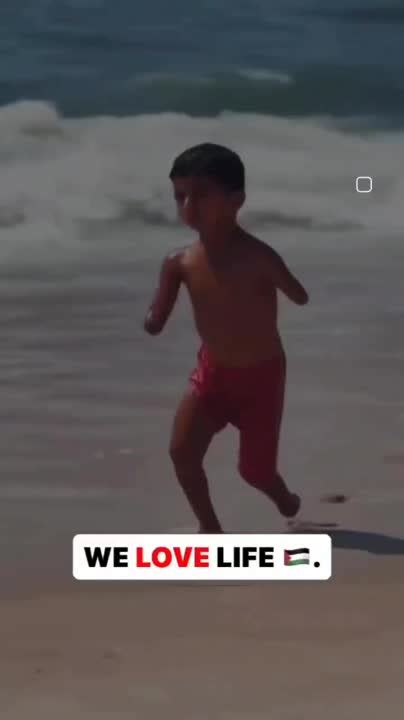 Video Shaimaa Alkhateeb On Linkedin Gaza