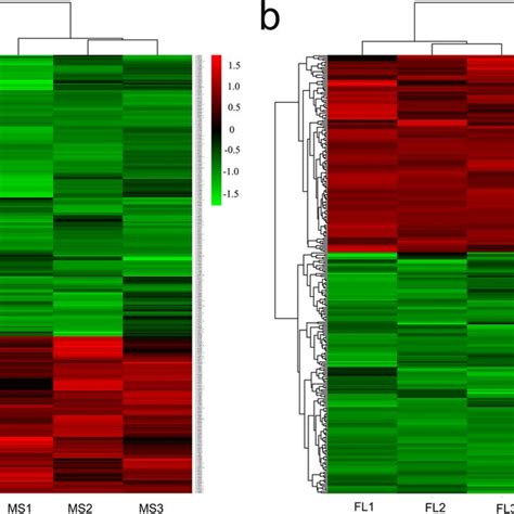 hierarchical clustering analysis of differentially enriched proteins
