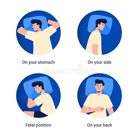 Fetal Positions Stock Illustrations 65 Fetal Positions Stock