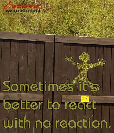 Sometimes It‘s Better To React With No Reaction Zitat Von Die Tagesrandbemerkung