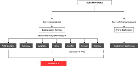 3 1 Decompression Illness The Science