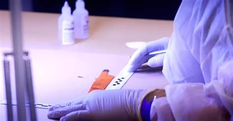 Code Blue Murder Ver La Serie De Tv Online