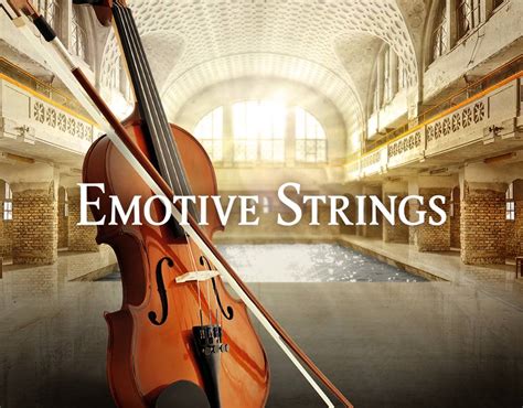 Native Instruments Action Strings Rewhsachic