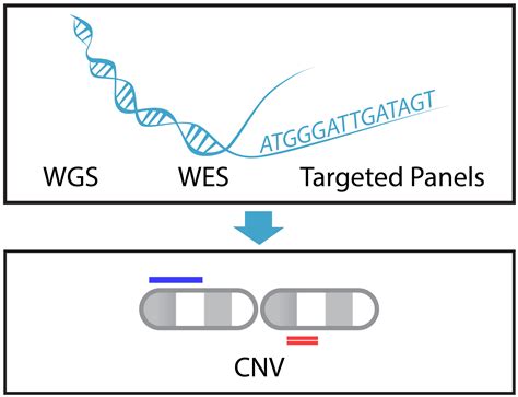Biodiscovery Releases Nexus Copy Number 9 0 With Improved Copy Number Estimation From Ngs