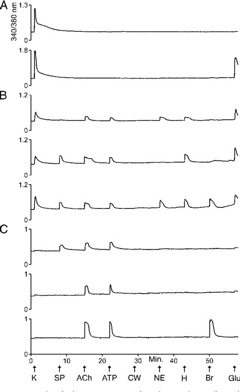 Figure 1 From Defining Modulatory Inputs Into Cns Neuronal Subclasses