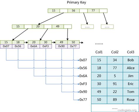 MySQL索引背后的数据结构及算法原理 一刹流云散 博客园