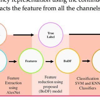 PDF EEG Based Multi Modal Emotion Recognition Using Bag Of Deep Features An Optimal Feature