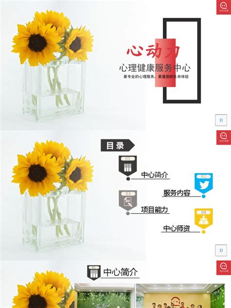 Presentation Model Pdf