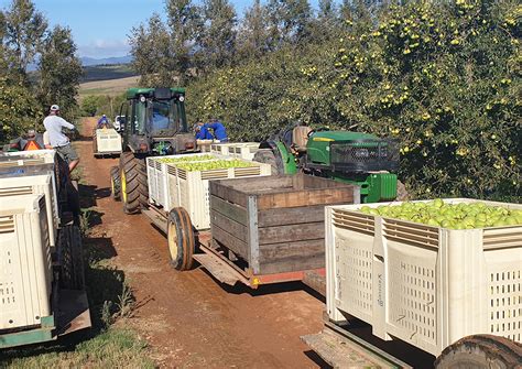 De Rust Fresh Quarterly