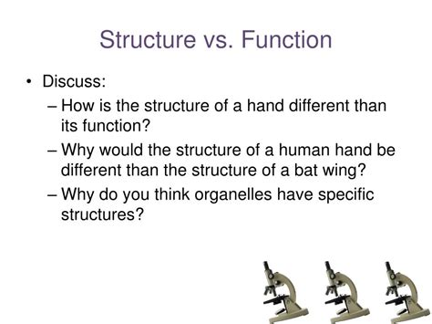 Ppt Cell Structure And Function Powerpoint Presentation Free Ppt Cell Structure And Function Powerpoint Presentation Free