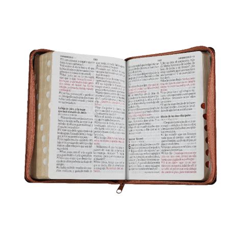 Biblia Reina Valera 1960 Color Marrón Letra Gigante Sociedad Bíblica