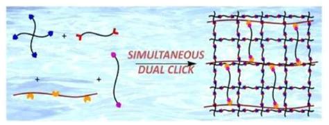 Schematic Representation Of Ipn Double Network Hybrid Hydrogel By